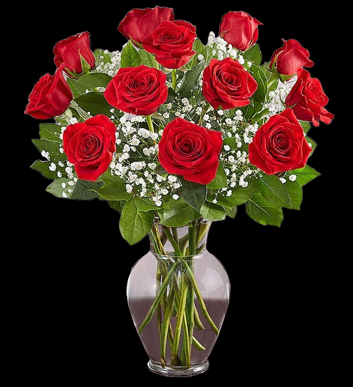 Kingsport Florist | Rainbows End Floral