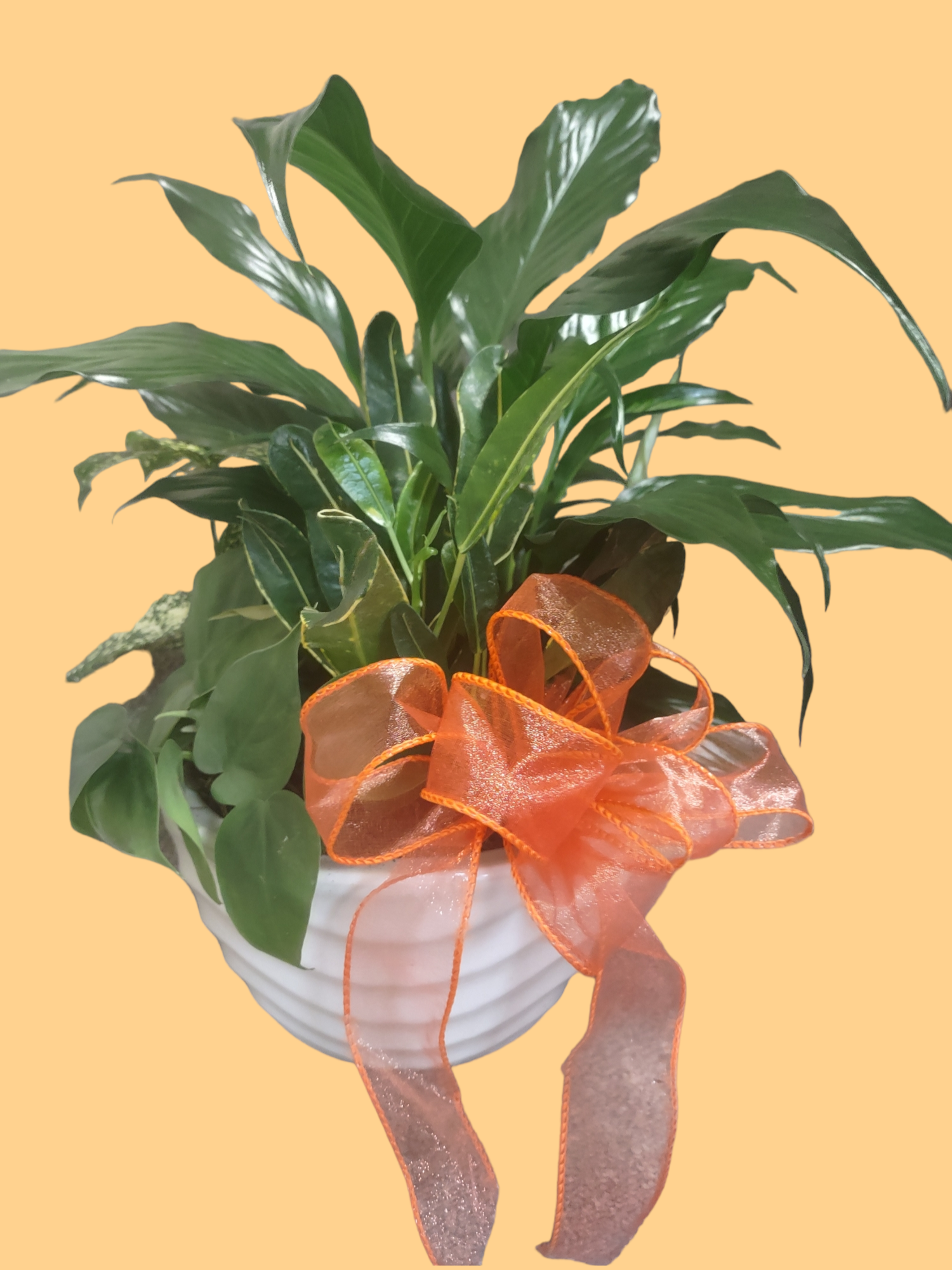 Sympathy Arrangements | Rainbows End Floral